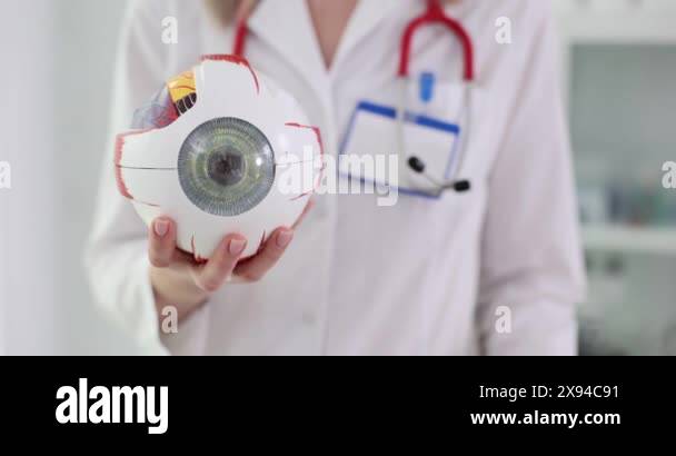 Ocular anatomy Stock Videos & Footage - HD and 4K Video Clips - Alamy