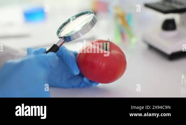 Food texture analysis Stock Videos & Footage - HD and 4K Video Clips ...