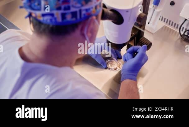 An embryologist conducts an in vitro fertilization IVF procedure in a ...