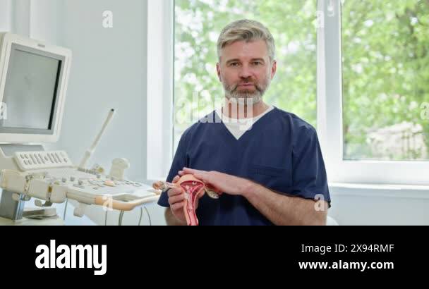 A gynecologist explaining the female reproductive system using an ...