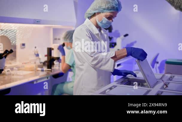 Embryologists performing artificial fertilization of human eggs in a ...