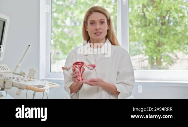 A female gynecologist in a clinic, demonstrating and explaining female ...