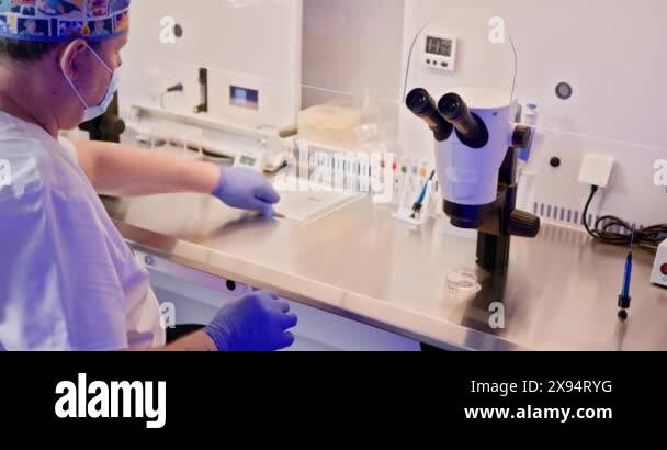 An embryologist conducts an in vitro fertilization IVF procedure in a ...