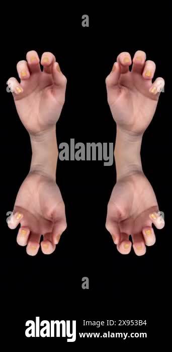 Two female hands with moving fingers making hand shapes in vertical ...