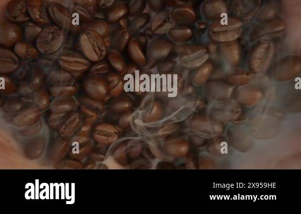 Pile of roasted coffee beans, enveloped in light smoke, inside palms of ...