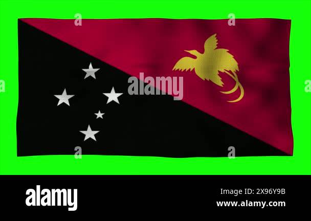 Papua New Guinea's National Flag in a Dynamic Display: A Sign of ...