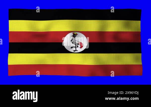 Uganda's National Flag in a Dynamic Display: A Sign of Strength and ...