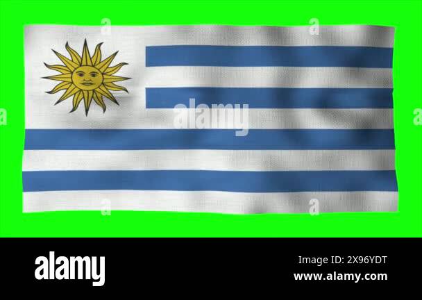 Uruguay's National Flag in a Dynamic Display: A Sign of Strength and ...