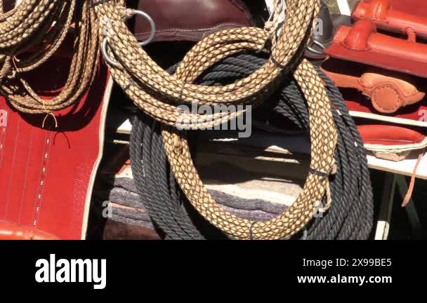 Braided rawhide lassos for use in cattle drives. Equipment of Argentine ...