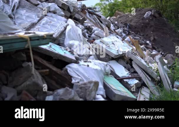 A jarring contrast between a lush, green forest and a sprawling ...