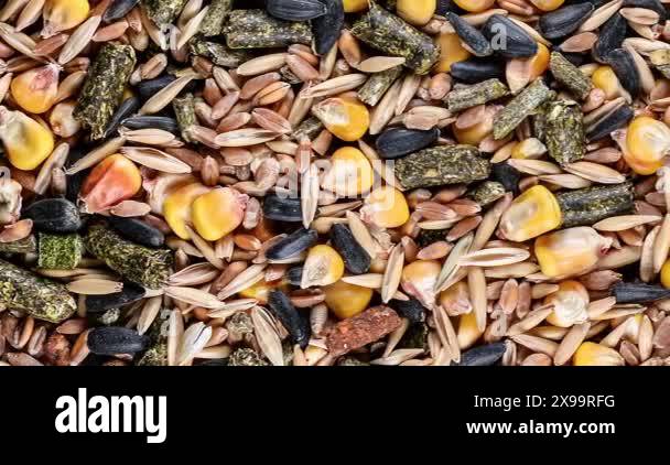 Animal food background Stock Videos & Footage - HD and 4K Video Clips ...