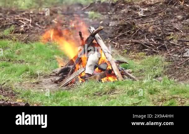 A campfire burning brightly with logs and sticks in a grassy area ...