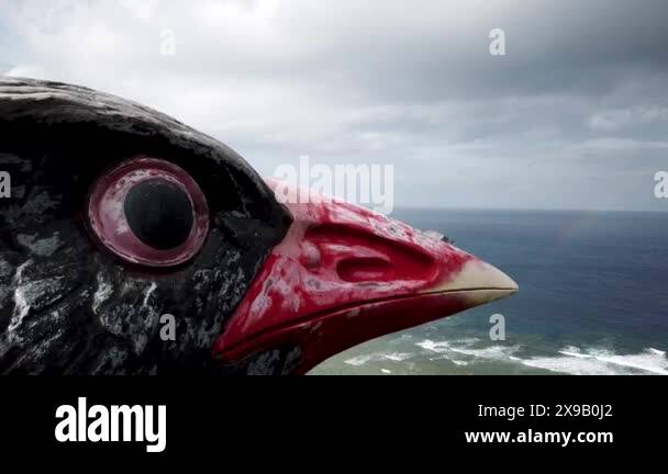 Aerial drone footage of a Huge statue of Yanbaru kuina. Endemic exotic ...