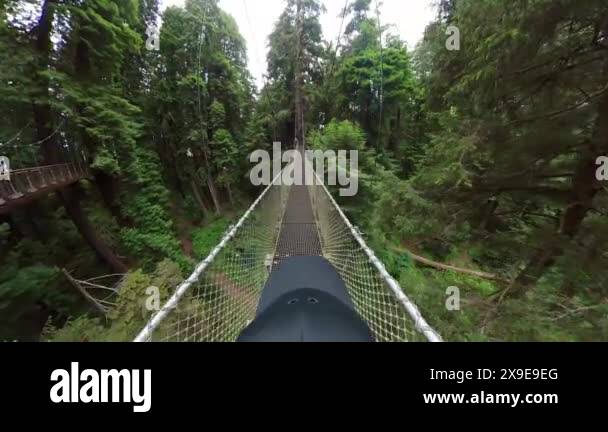 Forest suspension bridge Stock Videos & Footage - HD and 4K Video Clips ...