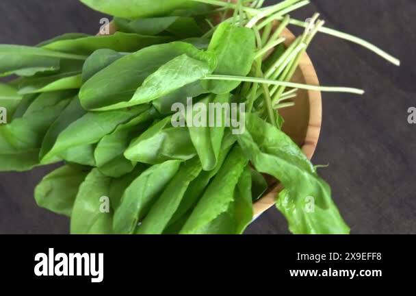 Sorrel herb plant cooking Stock Videos & Footage - HD and 4K Video ...