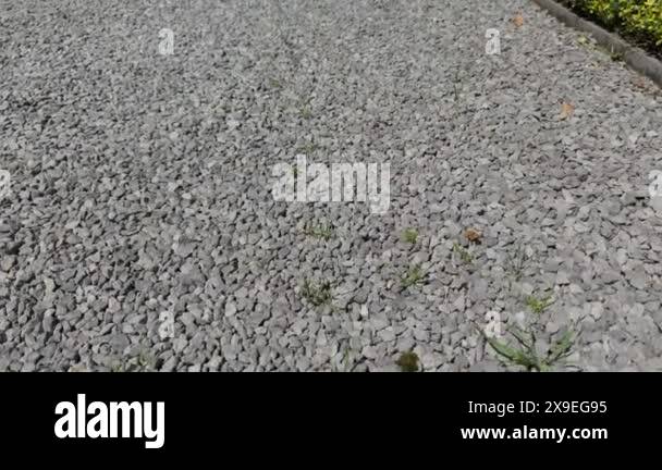 Gravel pebble background Stock Videos & Footage - HD and 4K Video Clips ...