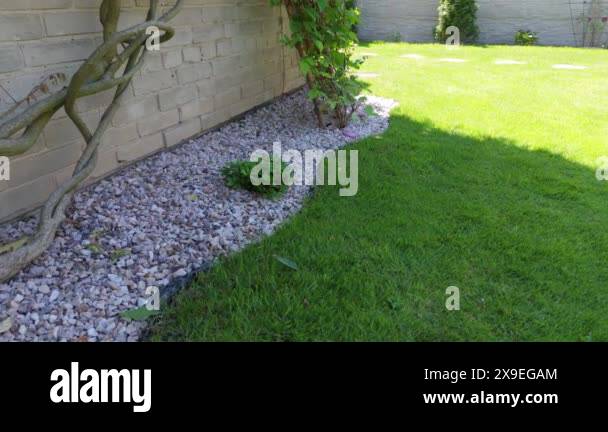 Summer gravel garden Stock Videos & Footage - HD and 4K Video Clips - Alamy