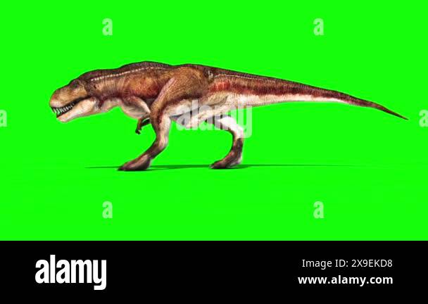 Tyrannosaurus rex 3d illustration Stock Videos & Footage - HD and 4K ...