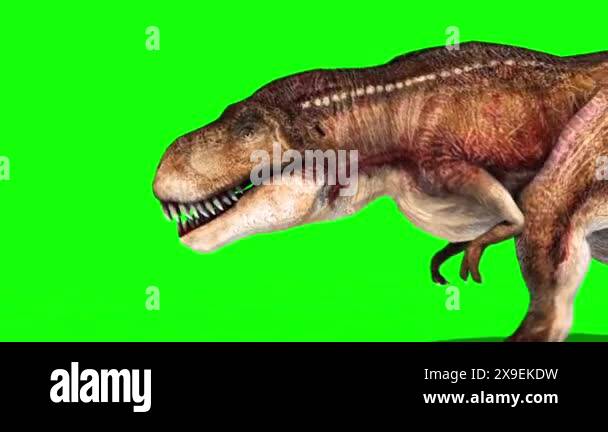Tyrannosaurus rex side Stock Videos & Footage - HD and 4K Video Clips ...