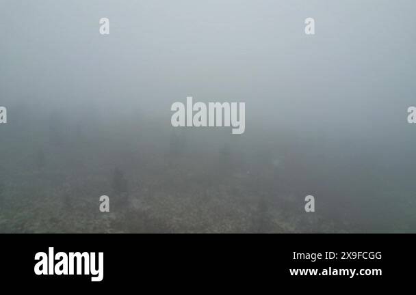 Misty taiga Stock Videos & Footage - HD and 4K Video Clips - Alamy