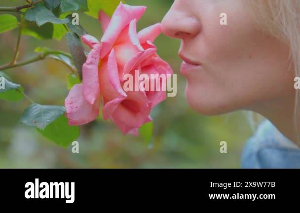 Woman sniffing big red rose on tree with closed eyes close-up ...