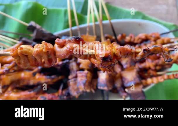Chicken intestines Stock Videos & Footage - HD and 4K Video Clips - Alamy