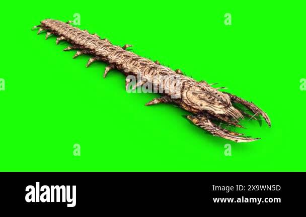 Monster Giant Centipede Walk Loop Green Screen 3D Rendering Animation ...