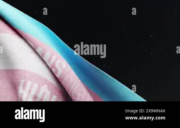 Trans rights flag Stock Videos & Footage - HD and 4K Video Clips - Alamy