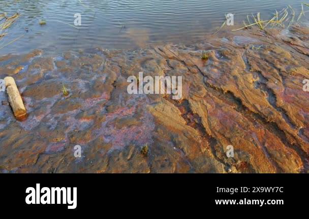 Waste oil bank Stock Videos & Footage - HD and 4K Video Clips - Alamy