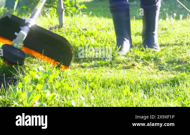 worker mows green grass on the lawn with hand trimmer. lawn care. weed ...
