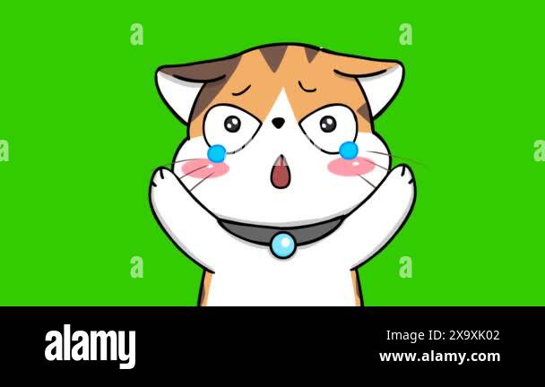 Begging animation Stock Videos & Footage - HD and 4K Video Clips - Alamy