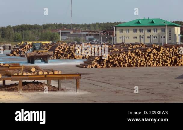 Auto with a manipulator arm loads logs. Modern equipment at the timber ...