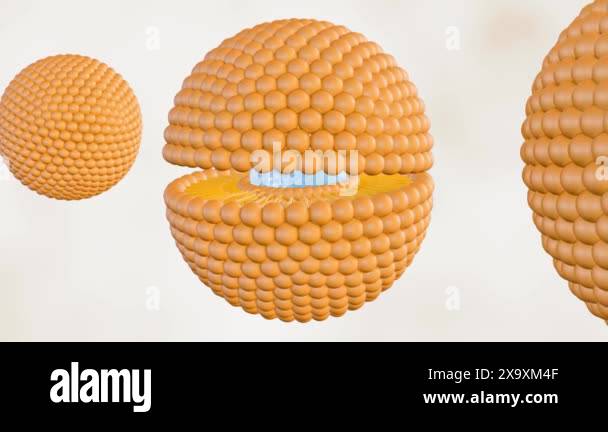 Lipid nanoparticle structure Stock Videos & Footage - HD and 4K Video ...