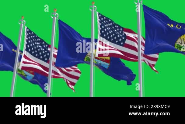 Montana state flags waving in the wind with the American flag Seamless ...