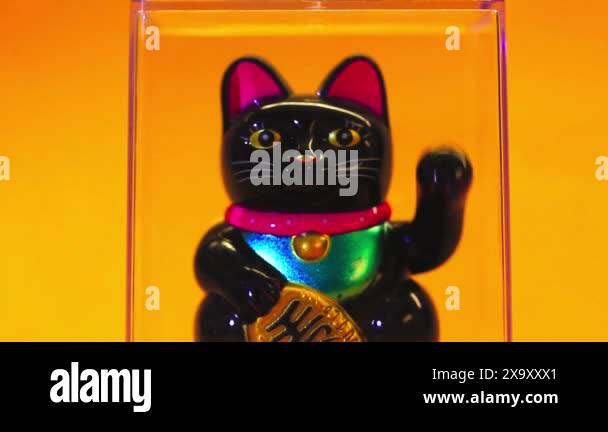 Maneki Neko Japanese lucky cat waving a paw close up on yellow orange ...