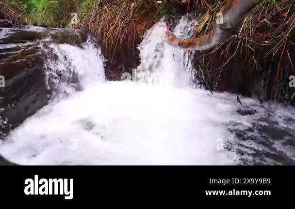 Two Clear Streams Of Water Flow And Merge Into A River Pool Stock Video ...