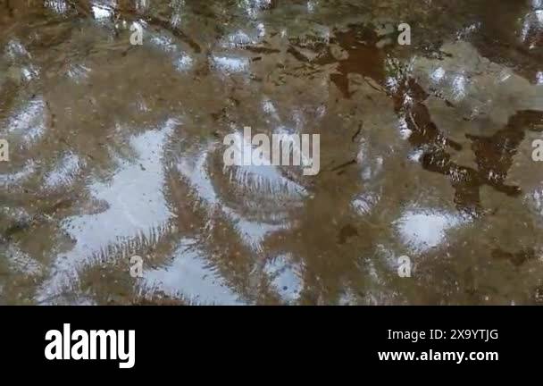 Dirty oil stains on the surface of the stagnant pool of water polluted ...