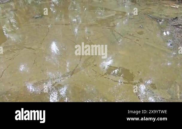 Dirty oil stains on the surface of the stagnant pool of water polluted ...