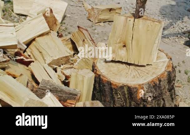 Chopping wood with an axe on a tree stump, surrounded by split logs ...