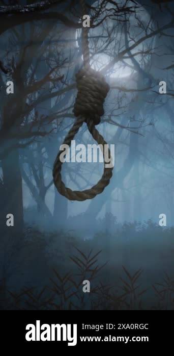 Noose hanging from tree Stock Videos & Footage - HD and 4K Video Clips ...