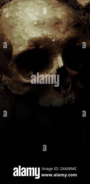 Vertical Skull with Rain and Lightning 4K Loop features the close-up of ...