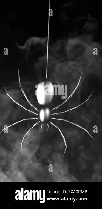 Vertical Metallic Spider Swinging on Web with Smoke 4K Loop features a metallic spider swinging ...