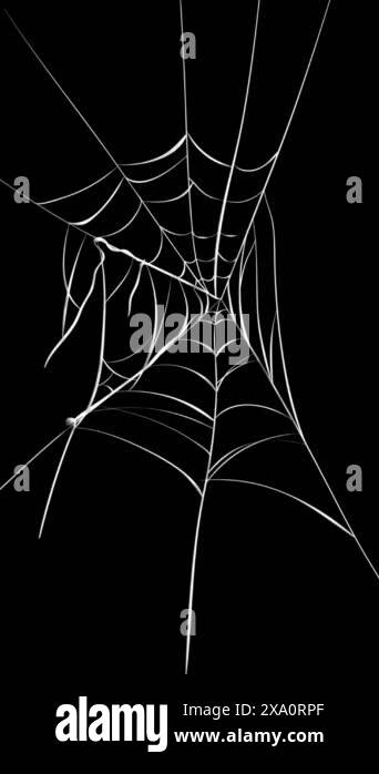 Vertical Spider Web Blowing in the Breeze 4K Loop features a silvery ...