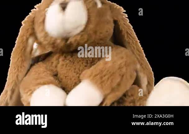 Stuffed and fluffy plush toy rabbit playing and dancing. Alpha channel ...