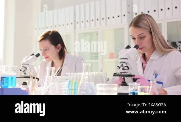 Two scientists working together in a laboratory make a discovery and ...