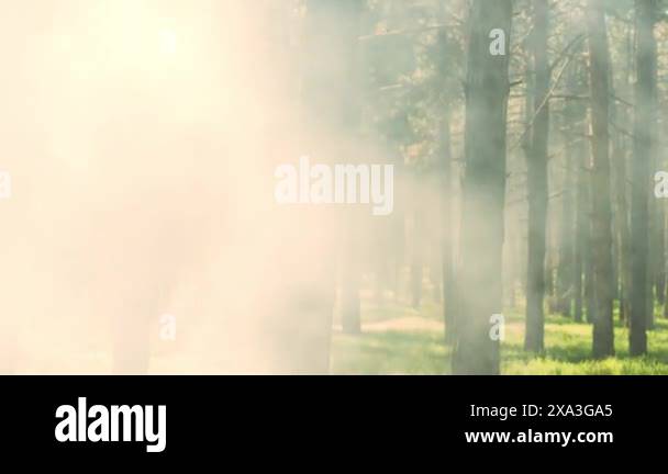 Handling of the disaster Stock Videos & Footage - HD and 4K Video Clips ...