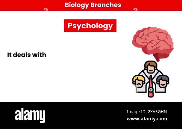 Learn psychology education Stock Videos & Footage - HD and 4K Video ...