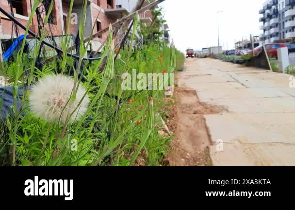 Urbanization solutions Stock Videos & Footage - HD and 4K Video Clips ...