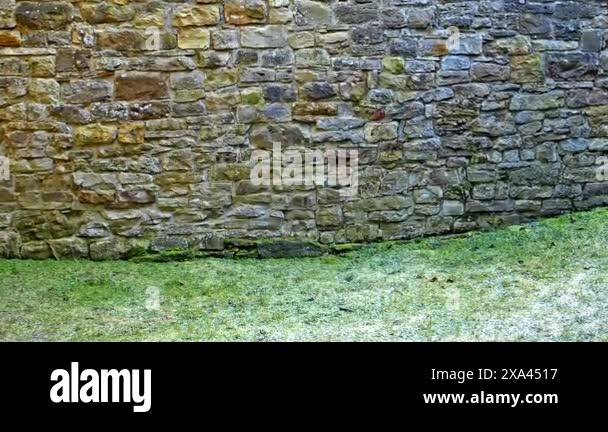 Roman border Stock Videos & Footage - HD and 4K Video Clips - Alamy
