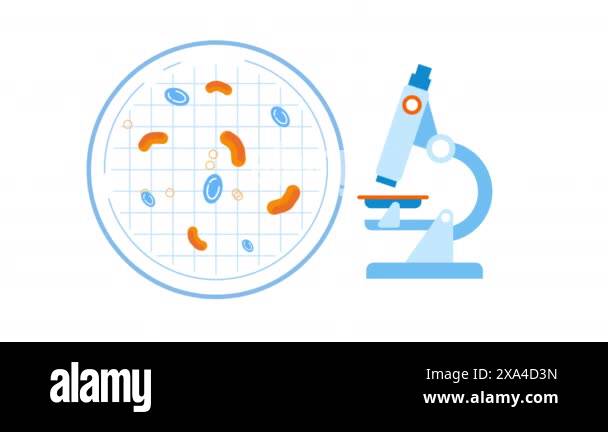 Lab microscope art Stock Videos & Footage - HD and 4K Video Clips - Alamy